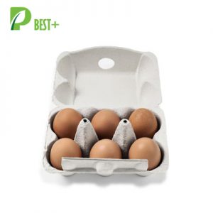 Egg Pack · Packaging Manufacturer Packing City Pulp Egg Cartons, Egg ...
